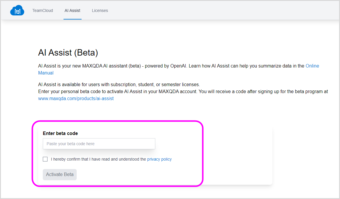 MAXQDA AI Assist（ベータ版） | ライトストーン