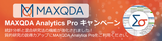 MAXQDA 質的データ分析ソフトウェア | QDAソフト（CAQDAS）| ライトストーン